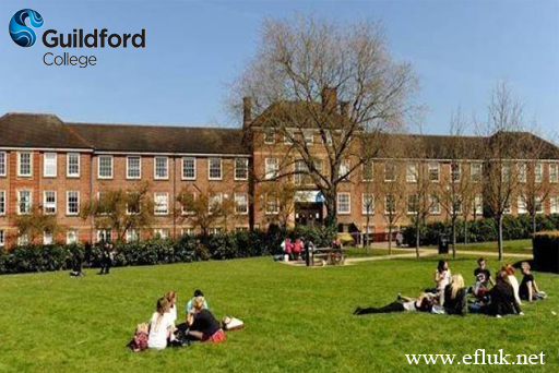 Guildford University