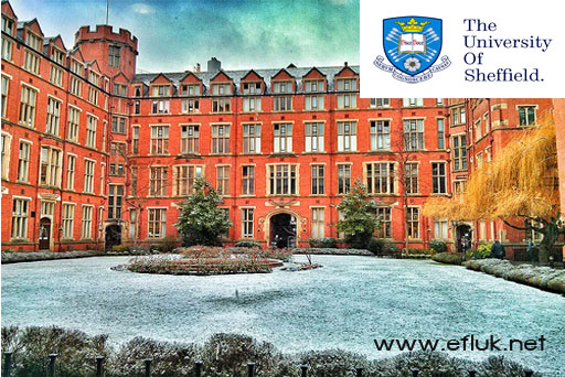 เรียนต่อปริญญาโทที่ University of Sheffield | EFL UK เรียนต่ออังกฤษ