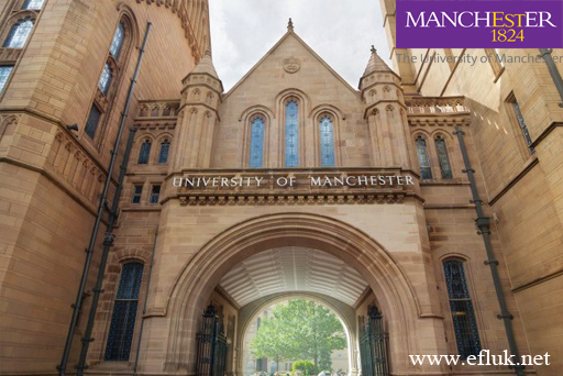เรียนต่อปริญญาตรีที่ University of Manchester | EFL UK เรียนต่ออังกฤษ